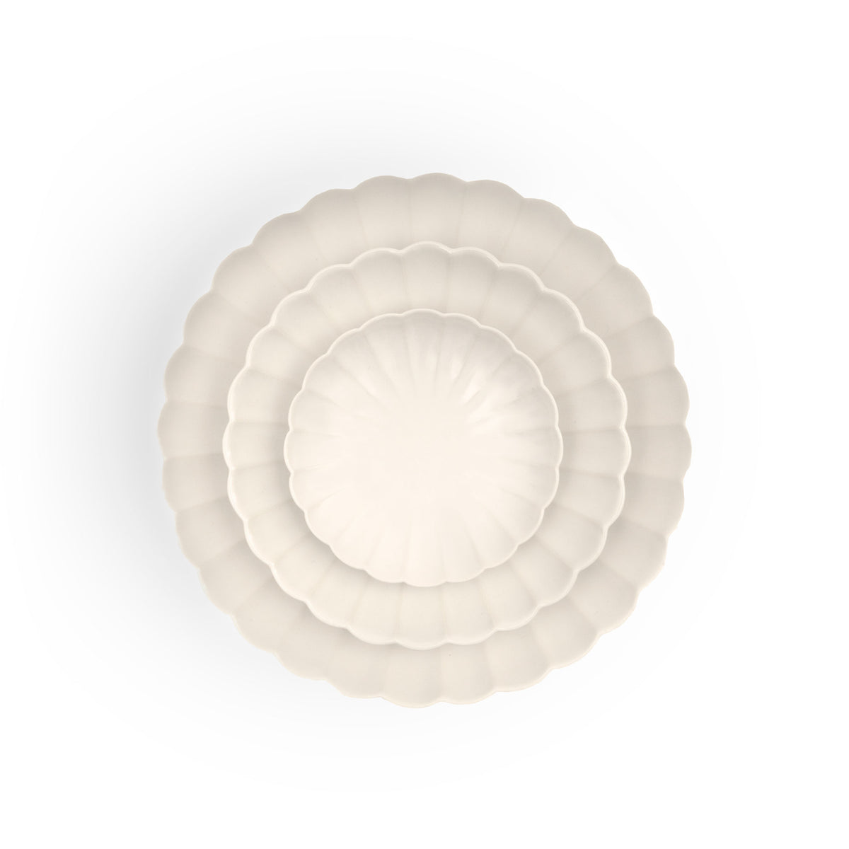 Chrysanthemum Plate Large | Normal Normal